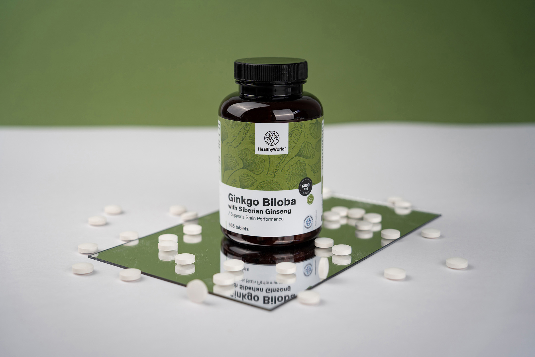 Ginko biloba s sibirskim ginsengom 6600 mg, 365 tablet - HealthyWorld.si